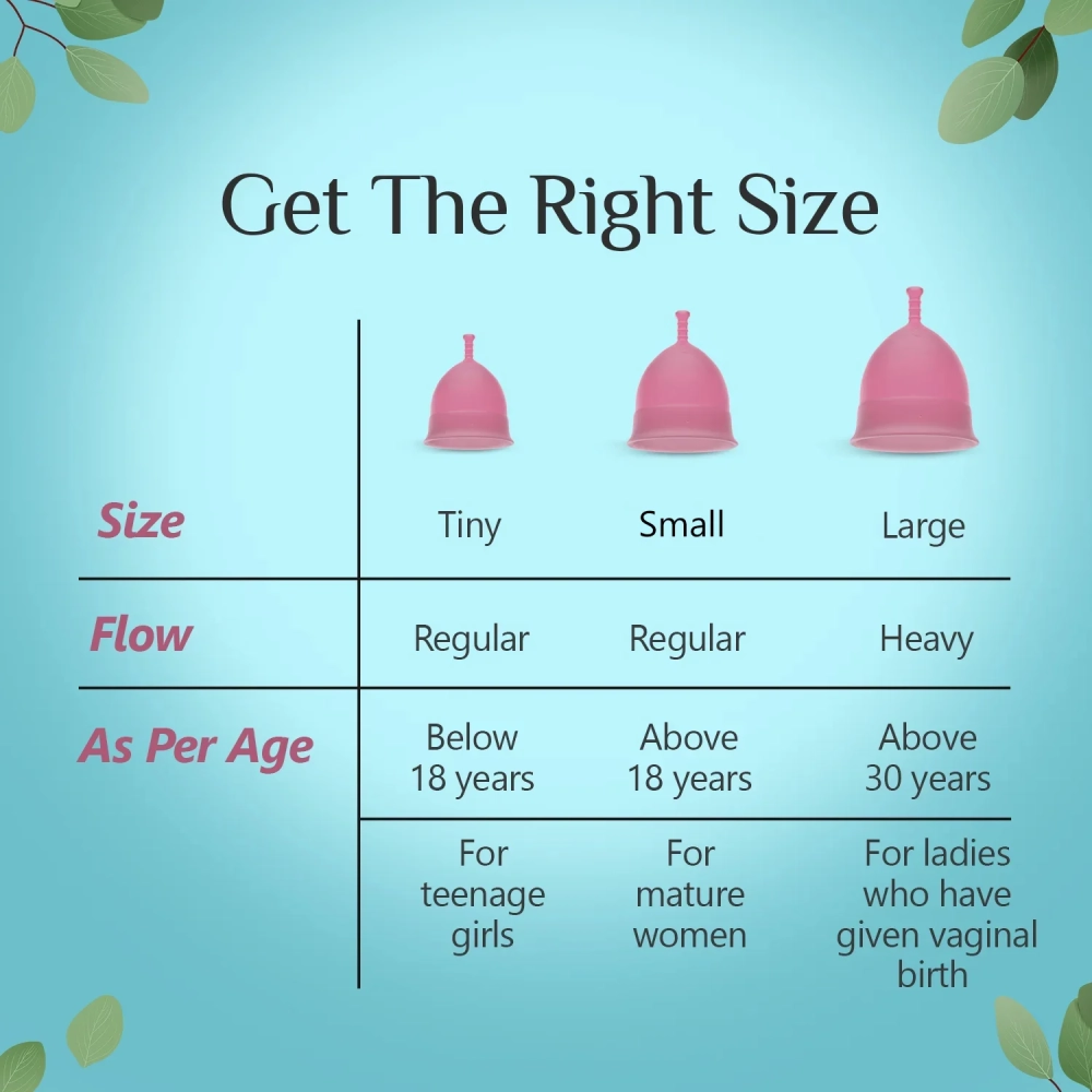 Buy Floren Menstrual Cup (Size-Small) in Nepal | Buy Health & Beauty ...